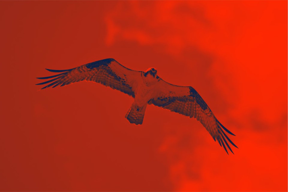 How to merge folders on Mac - without risking losing your files | Fileside